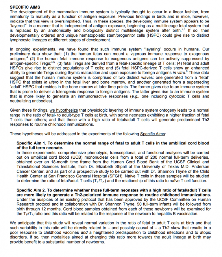 Research Proposal Examples: Templates & Best Practices - Proposally.ai