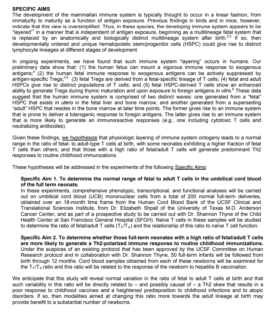 Research Proposal Examples: Templates & Best Practices - Proposally.ai